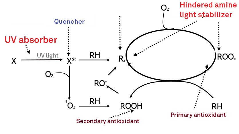 How Light Stabilizers Protect Polymers from UV Degradation | Everlight Chemical
