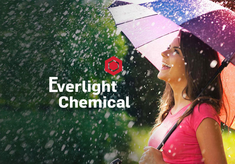 Stability Shield for PU - Everaox 501 Heat Stabilizer's Innovative ...